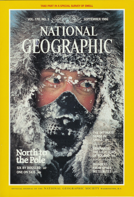 Avery Gilbert mini biographical narrative